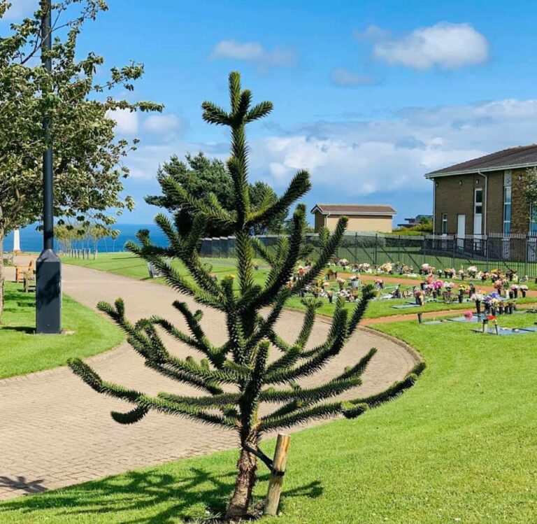 Peterlee Town Council