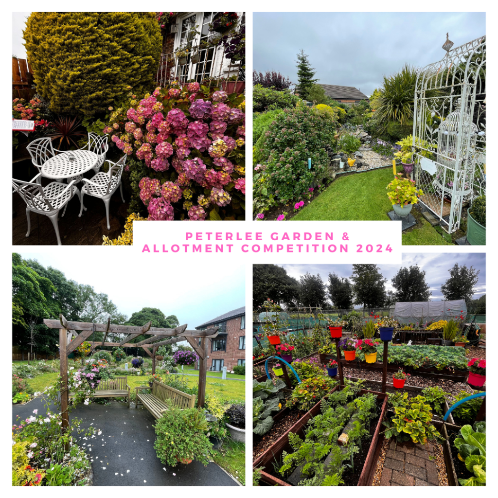 Peterlee Town Council